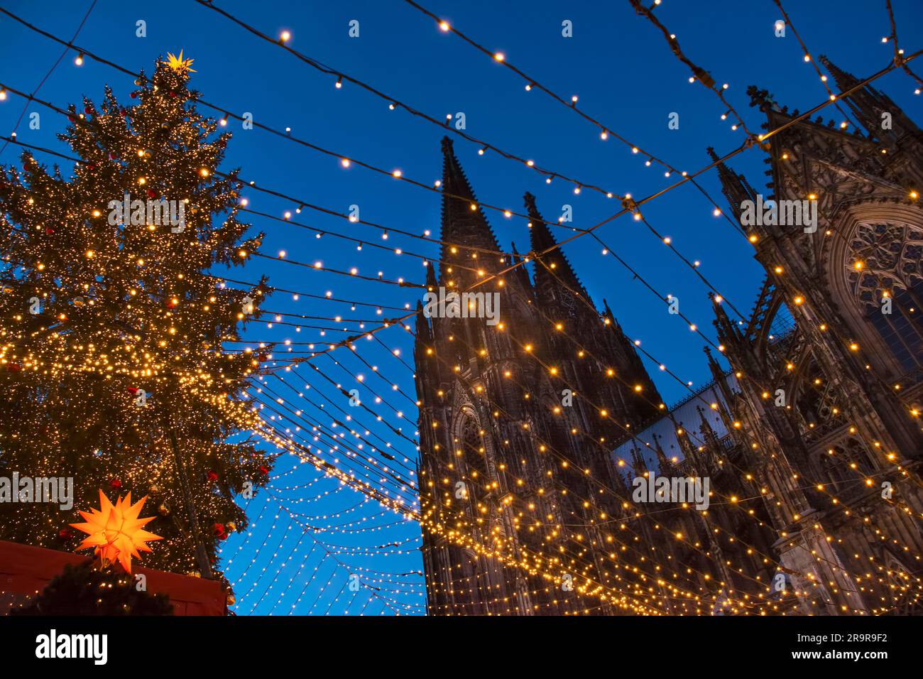 A detailed view of the Cologne cathedral with the Christmas tree and ...