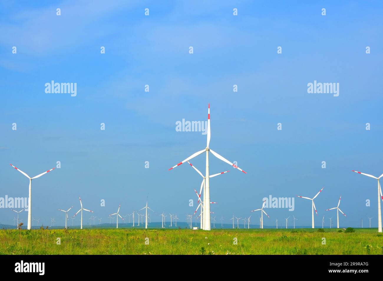 Wind turbines and agricultural fields on a summer day. Energy ...
