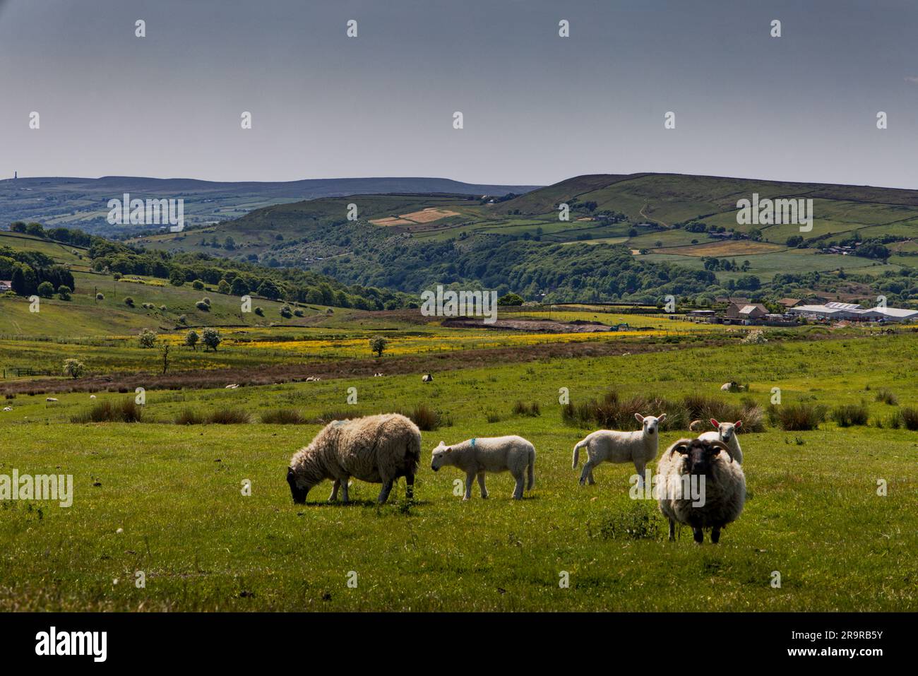 Rossendale valley hi-res stock photography and images - Alamy