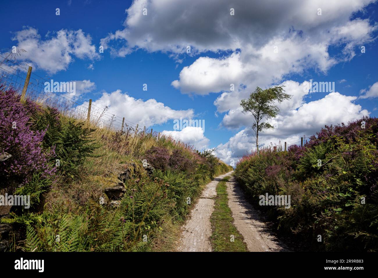 Cheeseden valley hi-res stock photography and images - Alamy