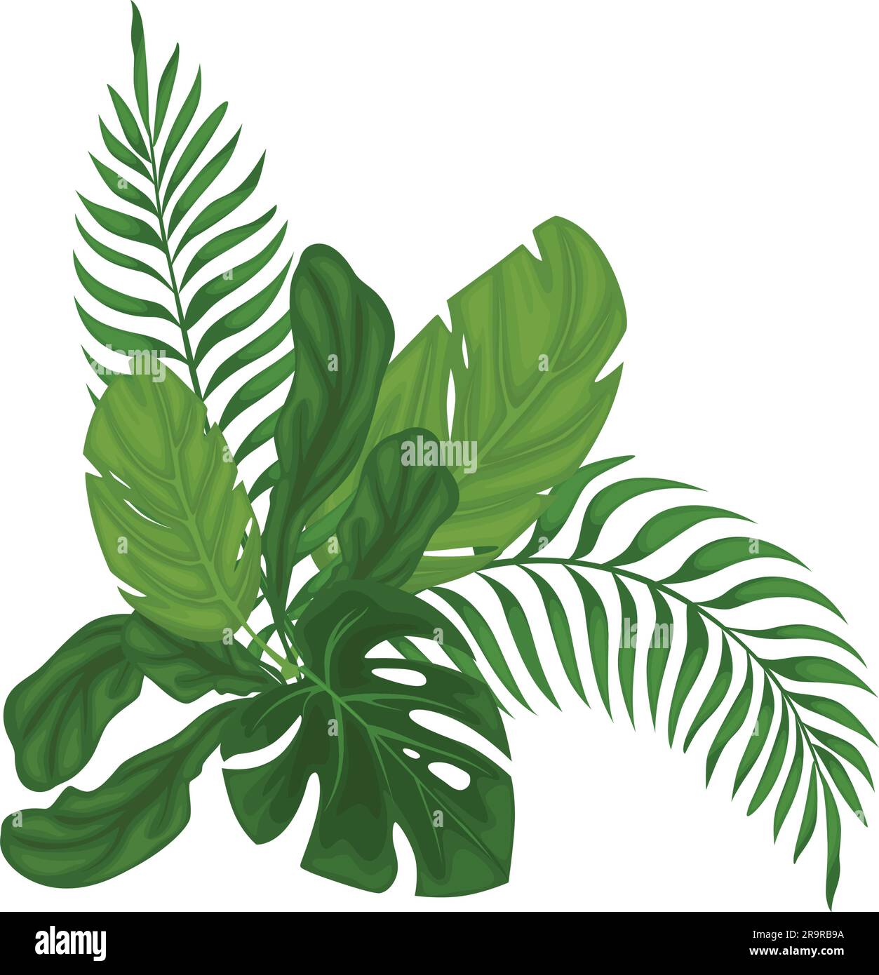 Green tropical leaves Stock Vector Image & Art - Alamy