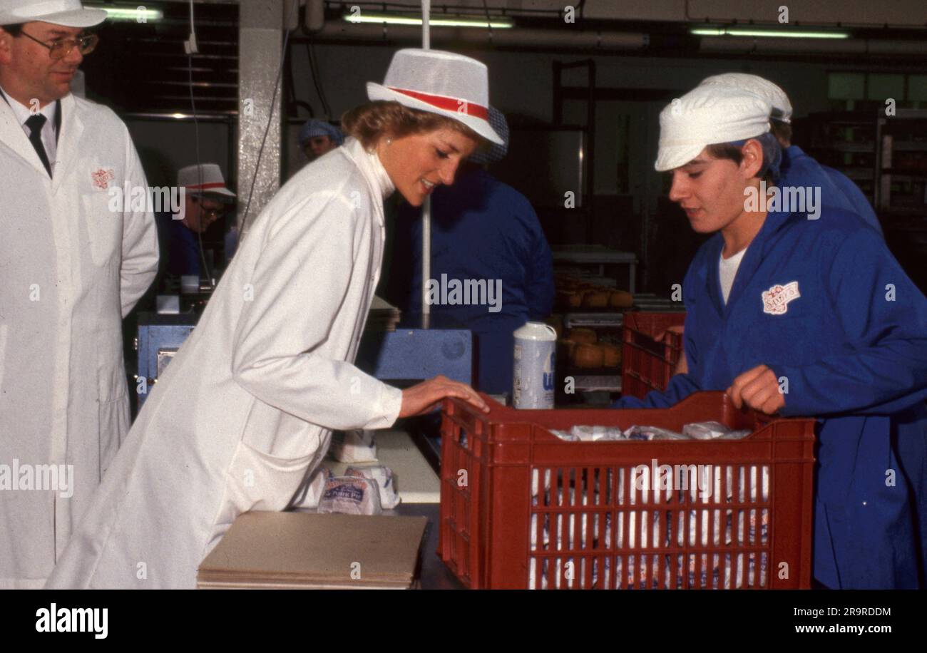 29 April 1988 Diana, The Princess of Wales, opens the new extension to ...
