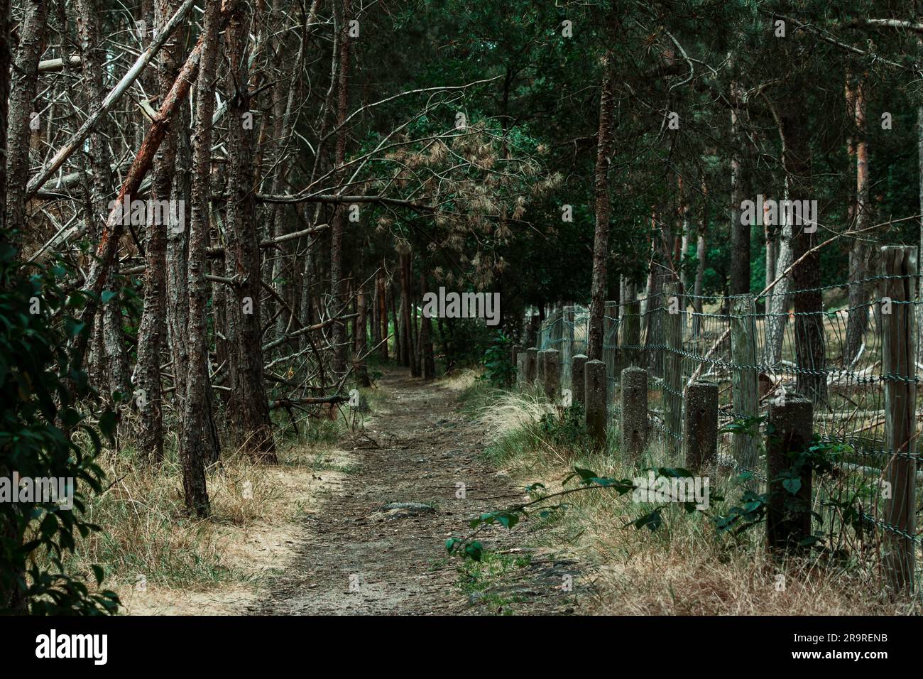 A mysterious and empty pathway veiled in darkness runs alongside a ...