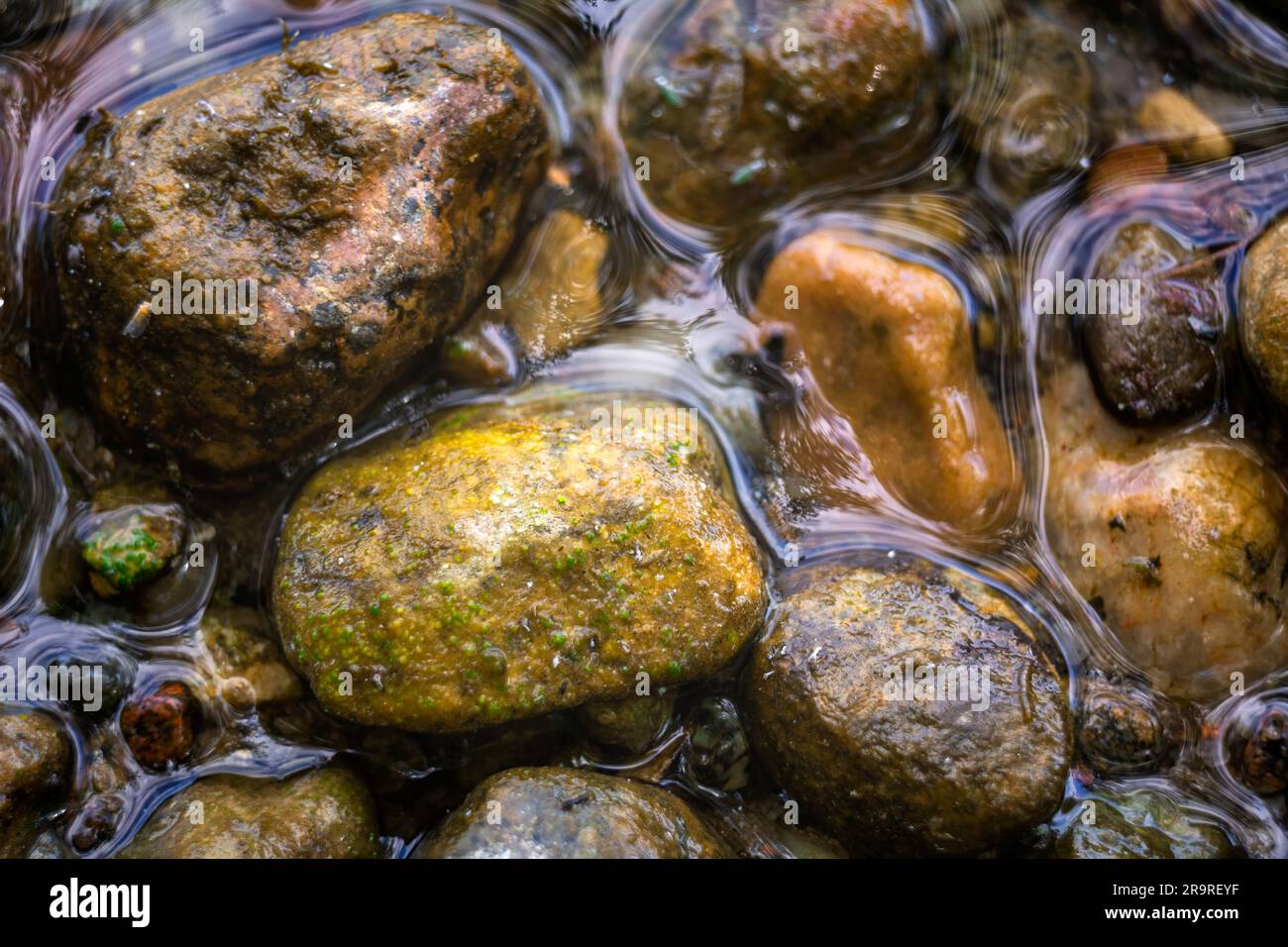 Water dance between stones - Lake Gowidlińskie, Kaszuby, Poland Stock ...