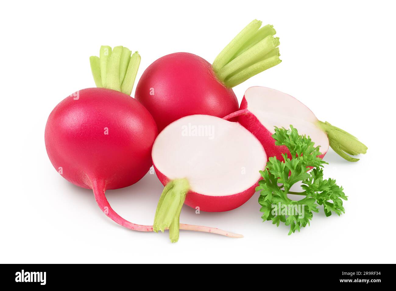 Radish with half isolated on white background with full depth of field ...