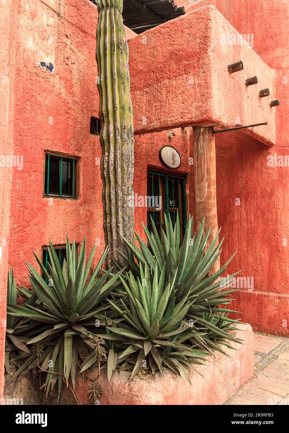 Typical Adobe style building in Lareto, Mexico, with cactus and aloe ...