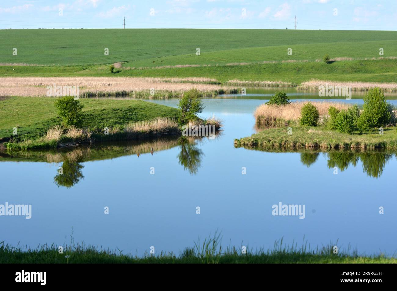Summer landscape with a small lake and greenery Stock Photo - Alamy