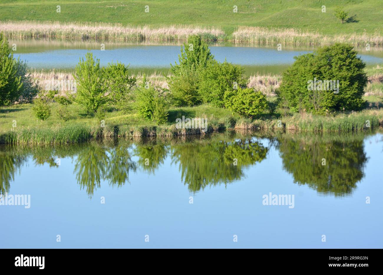 Summer landscape with a small lake and greenery Stock Photo - Alamy