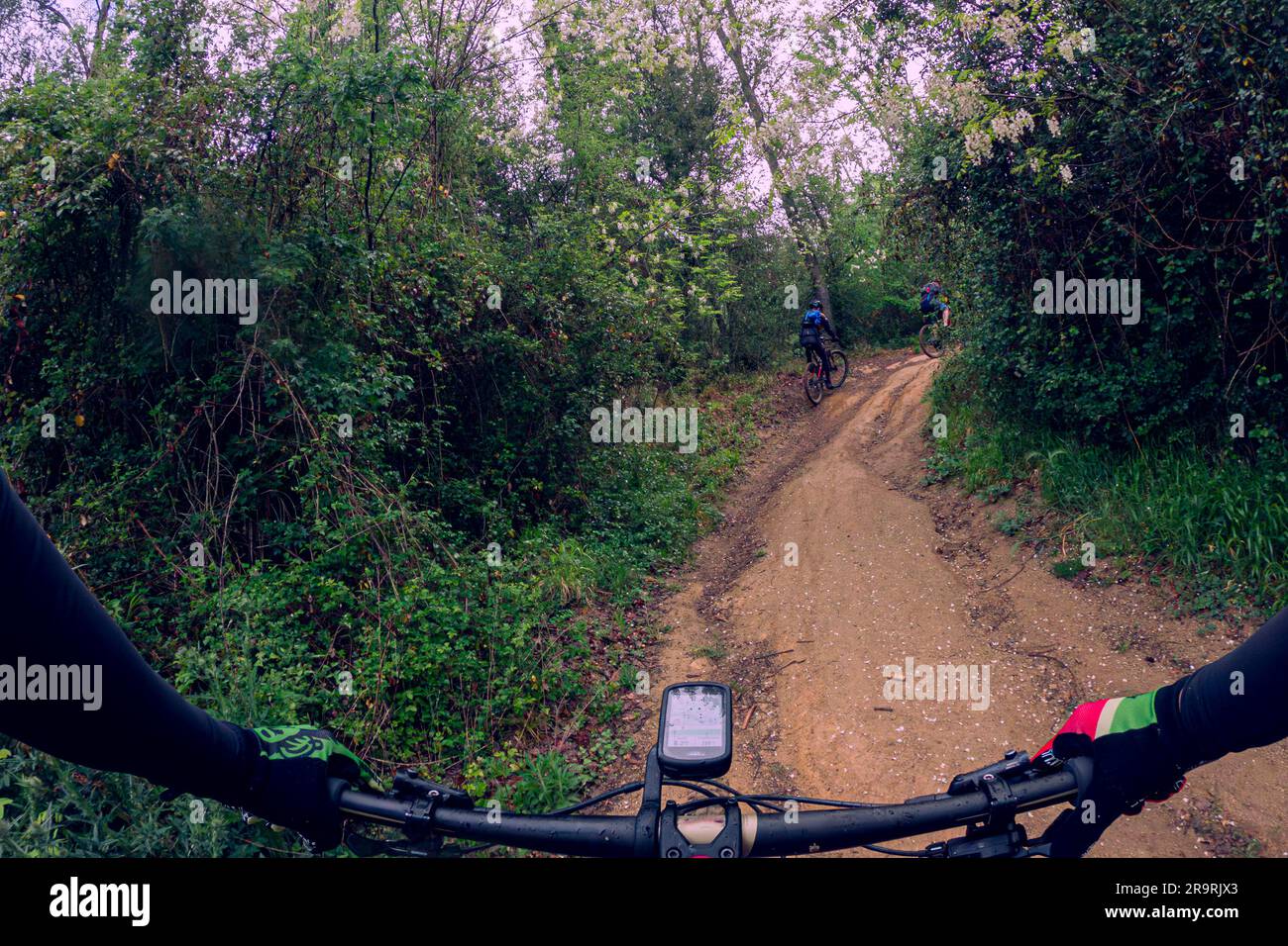 Riding a mountain bike from rider point of view on the handlebar on a ...