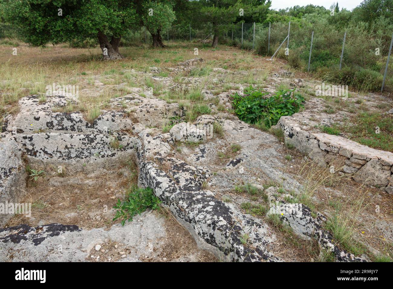 Mycenaean Cemetery of Mazarakata, Kefalonia, Greece Stock Photo - Alamy