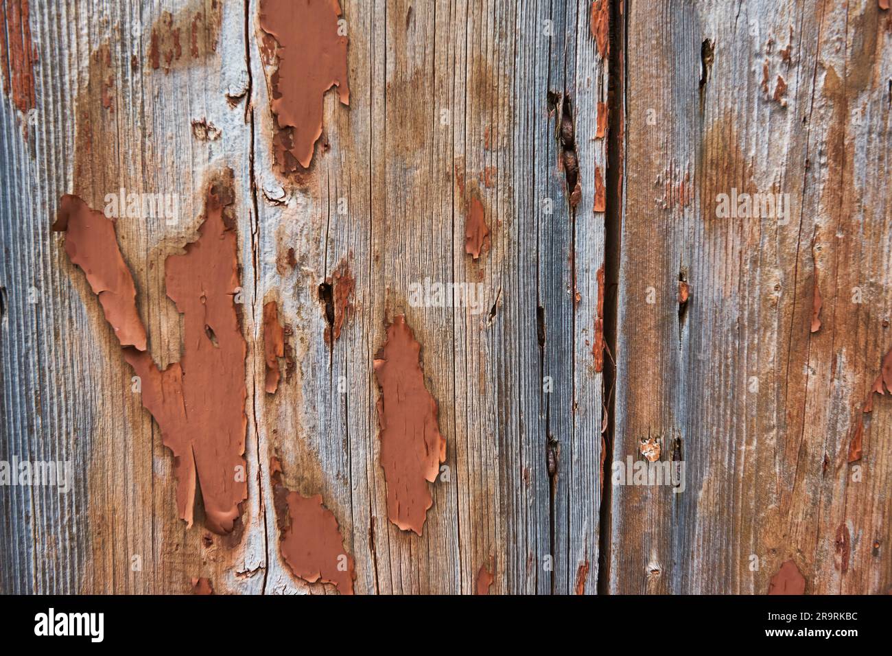 wood floor or wall boards. old table surface with natural texture Stock ...