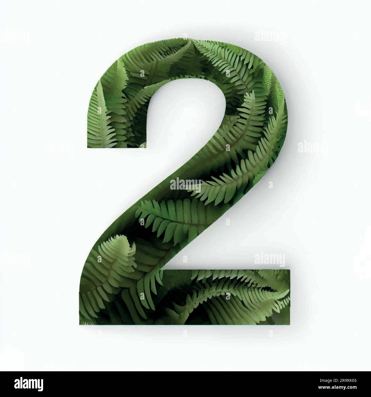 Two fern leaves Stock Vector Images - Alamy