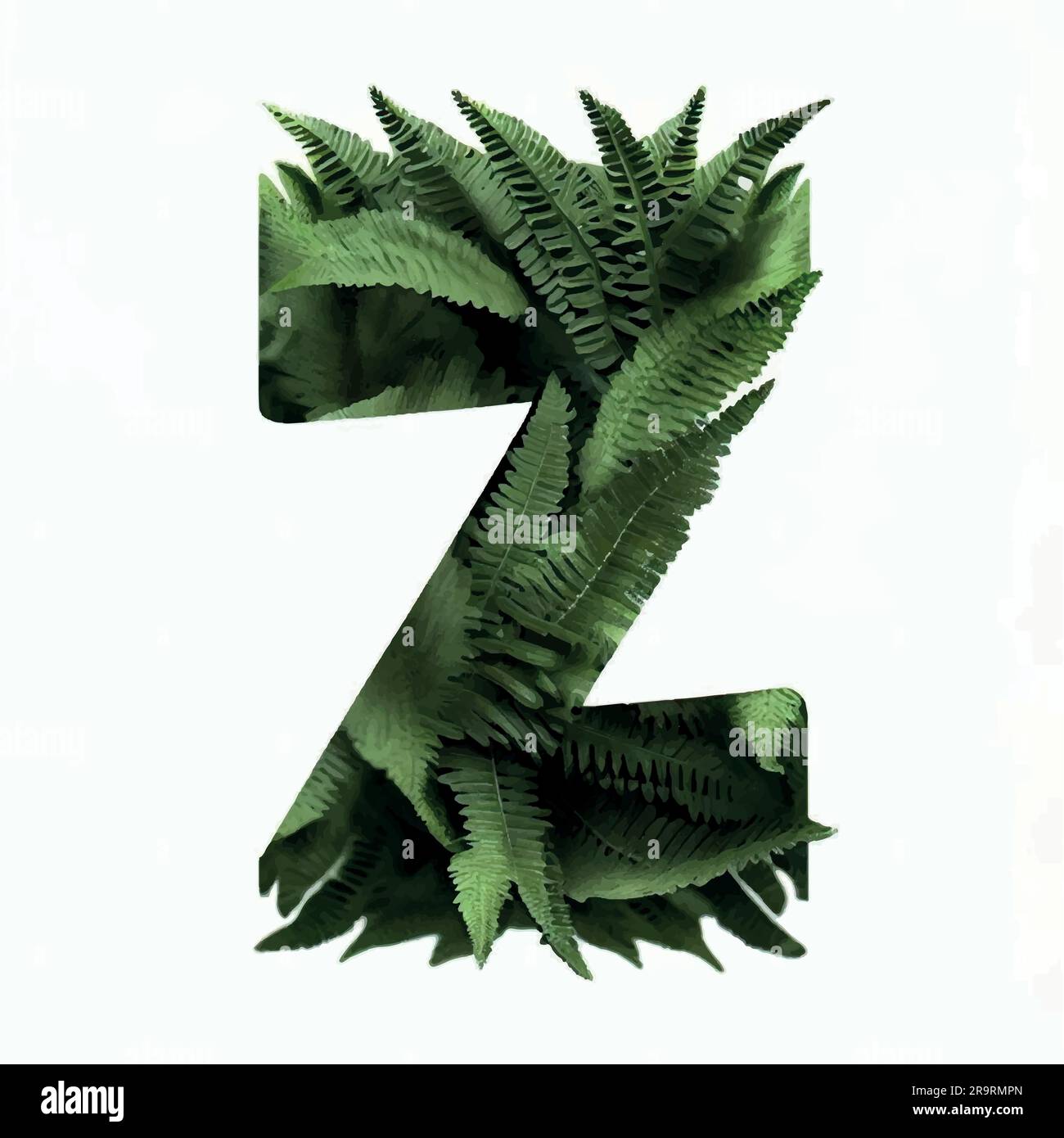Letter z in fern hi-res stock photography and images - Alamy