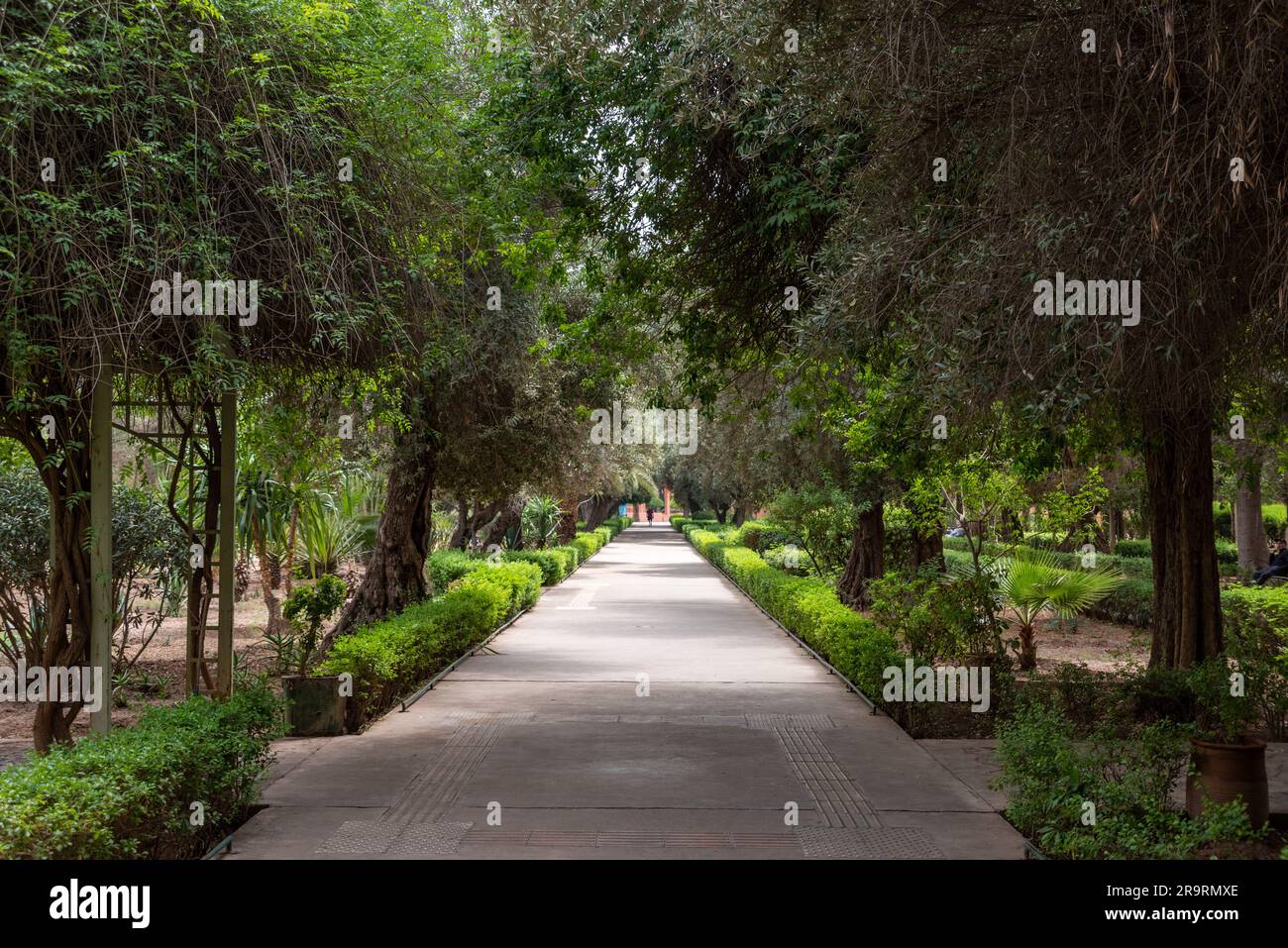 Plants in the beautiful park el Harti in Marrakech, Morocco Stock Photo ...