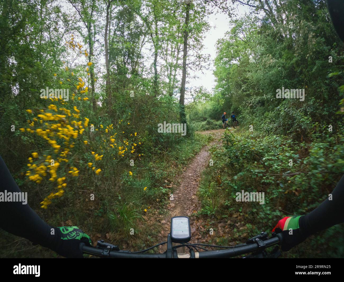 Riding a mountain bike from rider point of view on the handlebar on a ...