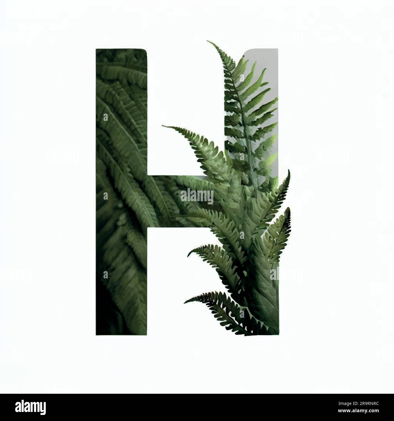 Letter h leaf Stock Vector Images - Alamy