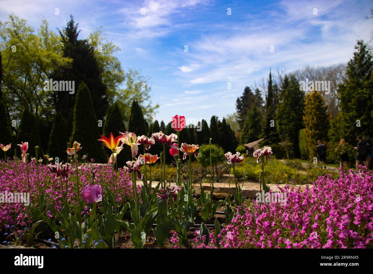 Beautiful park flowers trees hi-res stock photography and images - Alamy