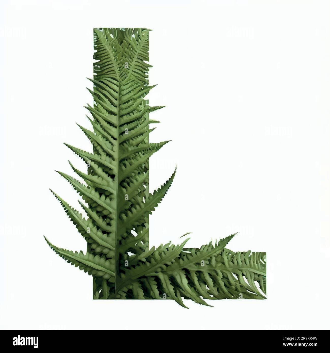 capital letter L in fern on a white canvas Stock Vector Image & Art - Alamy