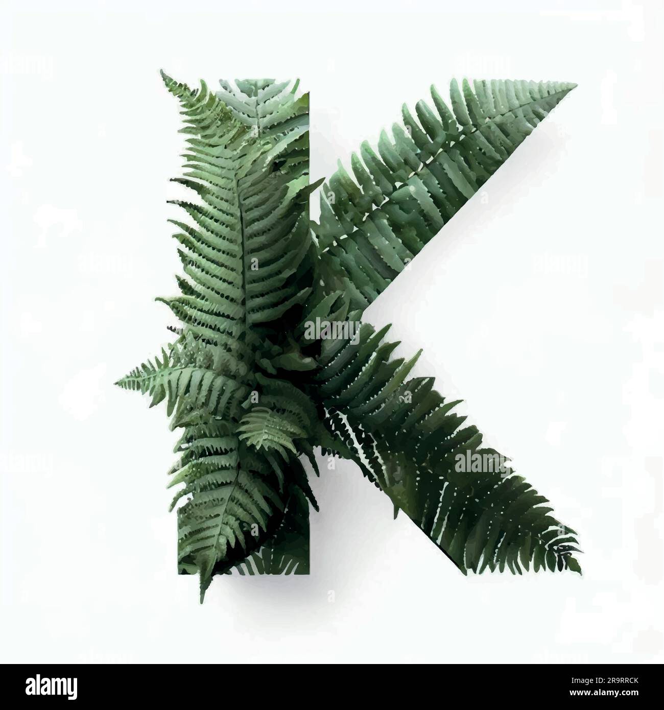 Letter k in fern Stock Vector Images - Alamy