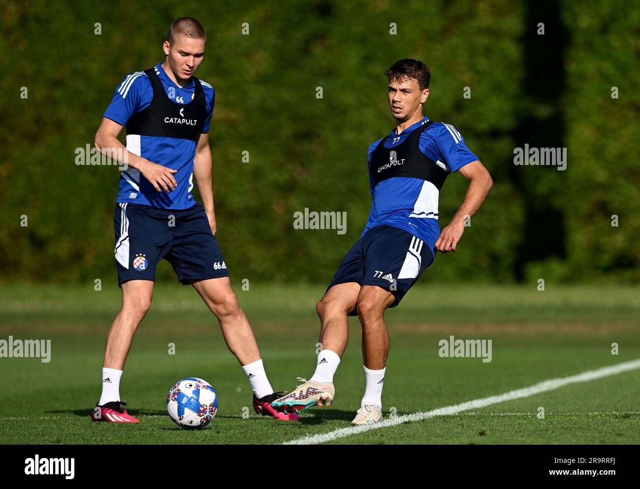 Bartol barisic hi-res stock photography and images - Alamy