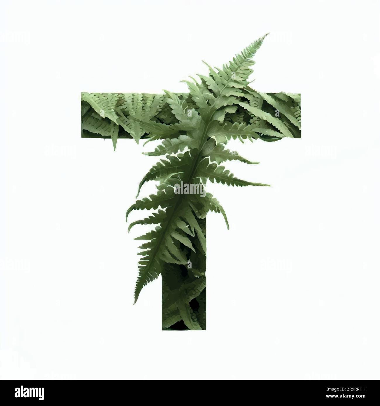 Letter t in fern hi-res stock photography and images - Alamy