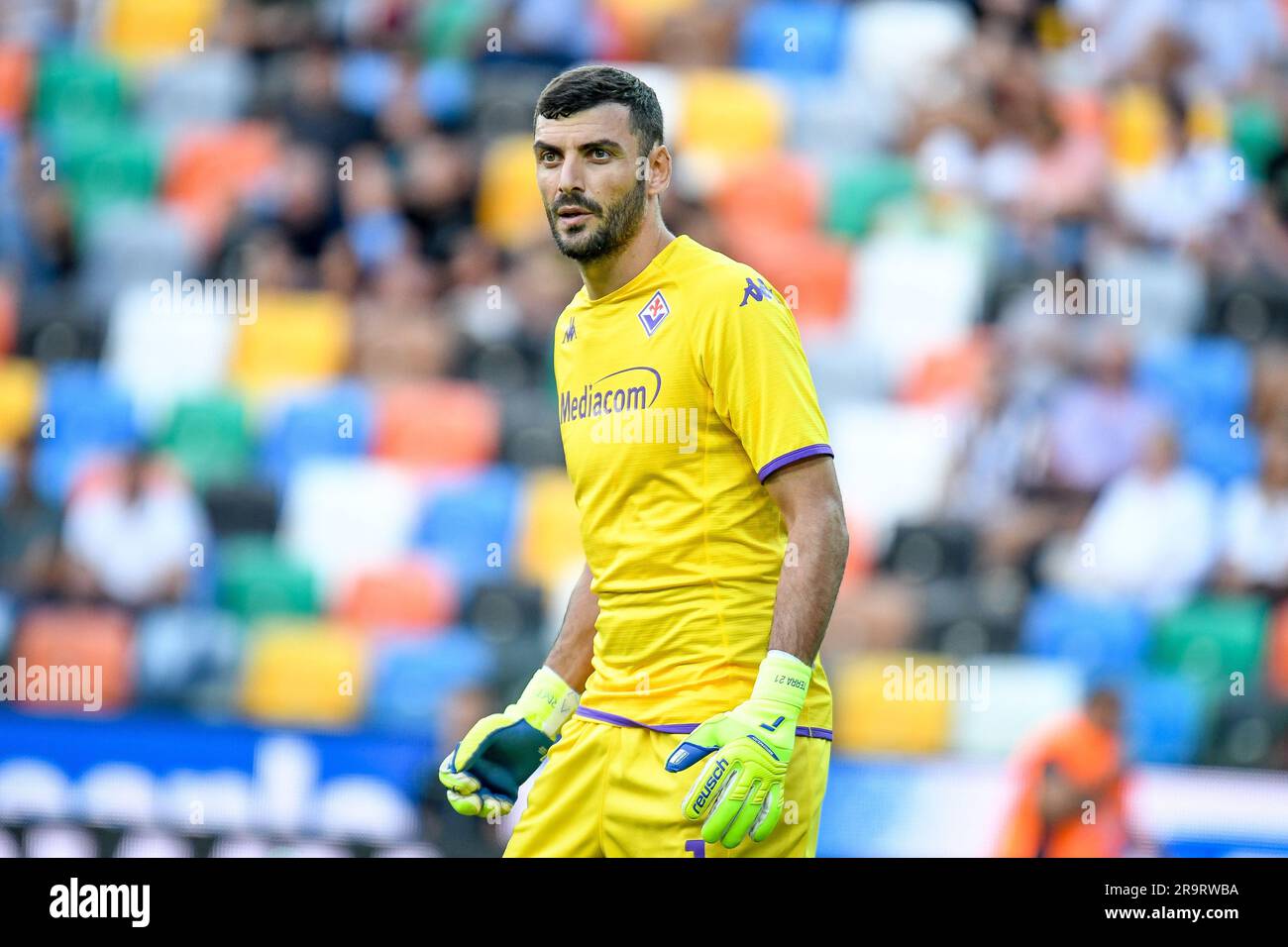 Friuli - Dacia Arena Stadium, Udine, Italy, August 31, 2022, Fiorentina ...
