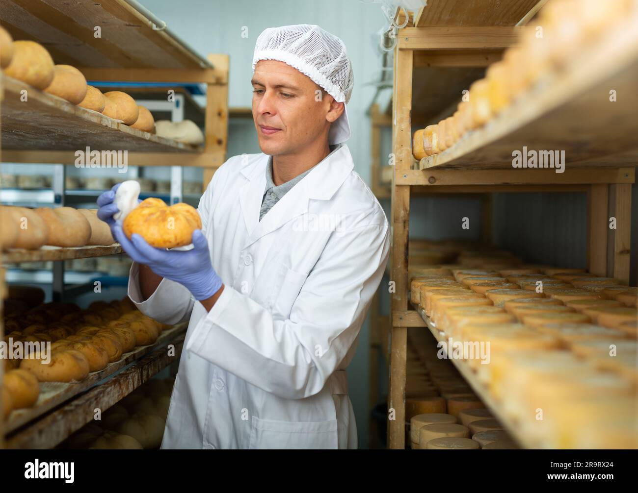 Cheese dairy worker checks the quality of cheese Stock Photo - Alamy