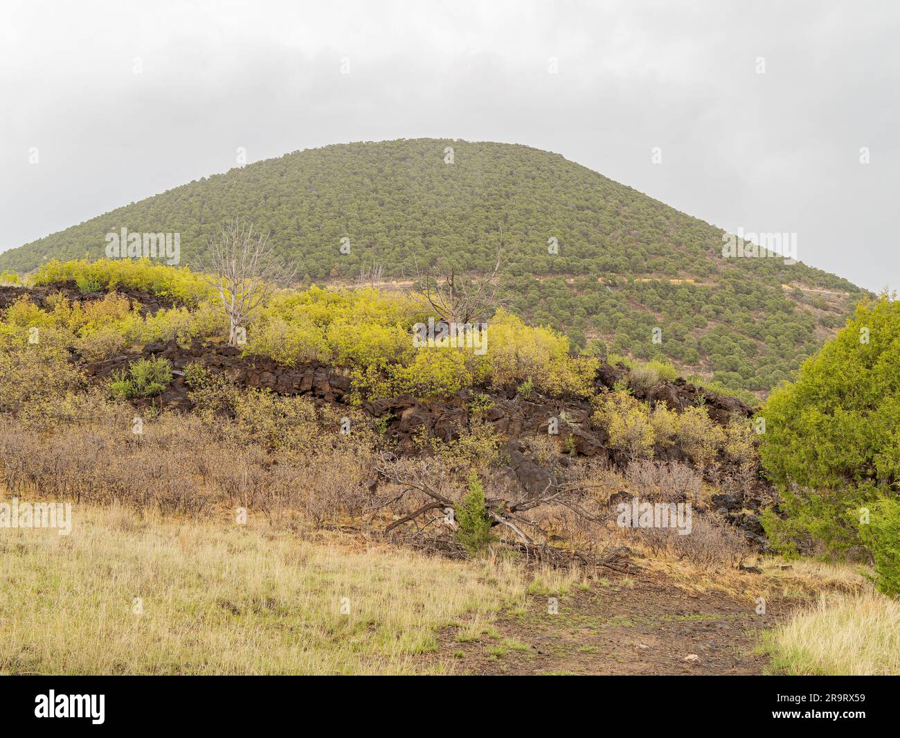 Overcast view of the landscape of Capulin Volcano National Monument at ...