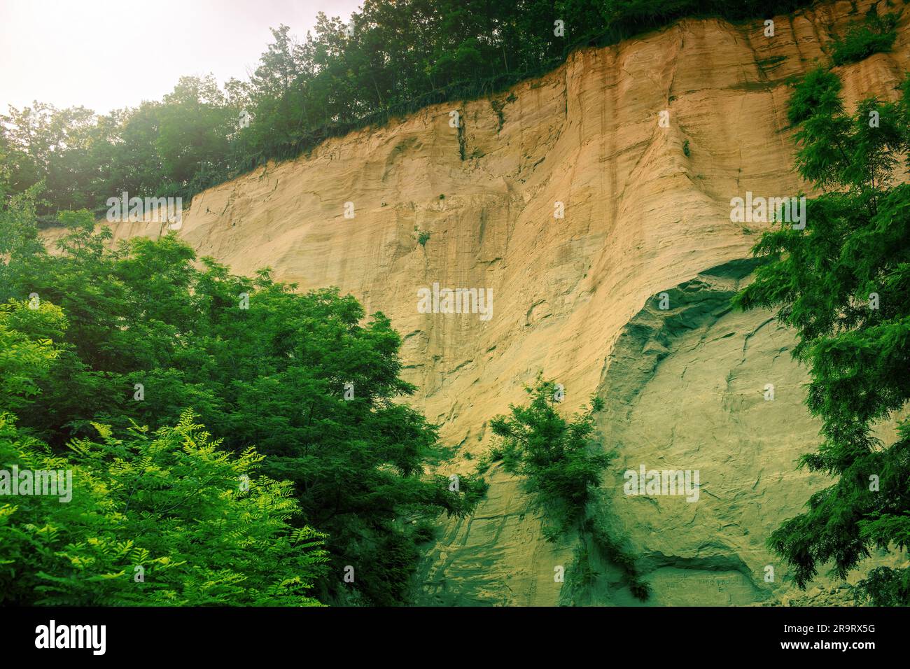 Wall made of sand, sand cliff. High quality photo Stock Photo - Alamy