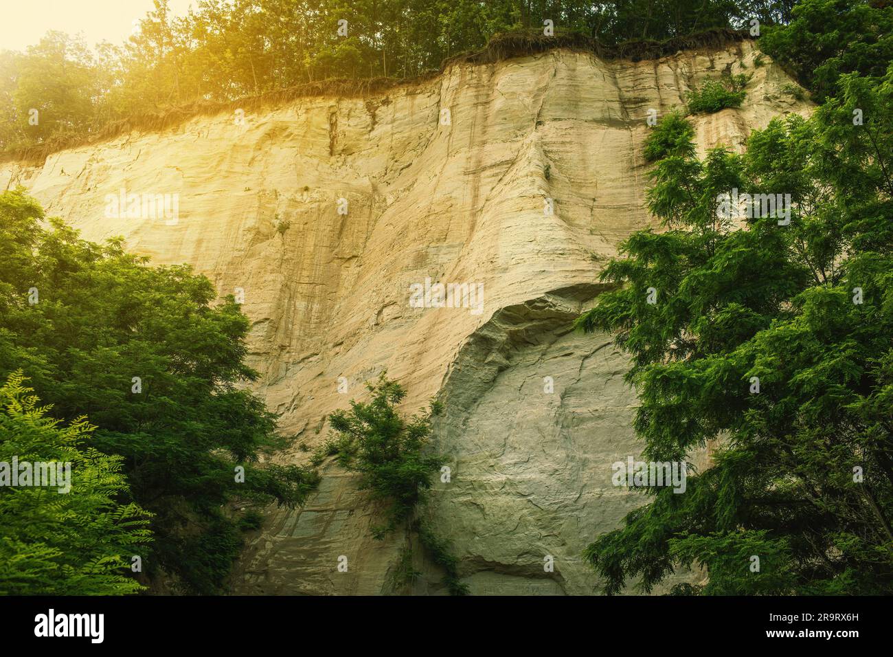 Wall made of sand, sand cliff. High quality photo Stock Photo - Alamy