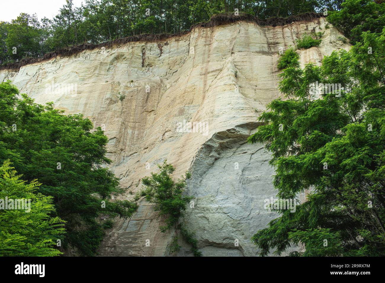 Wall made of sand, sand cliff. High quality photo Stock Photo - Alamy