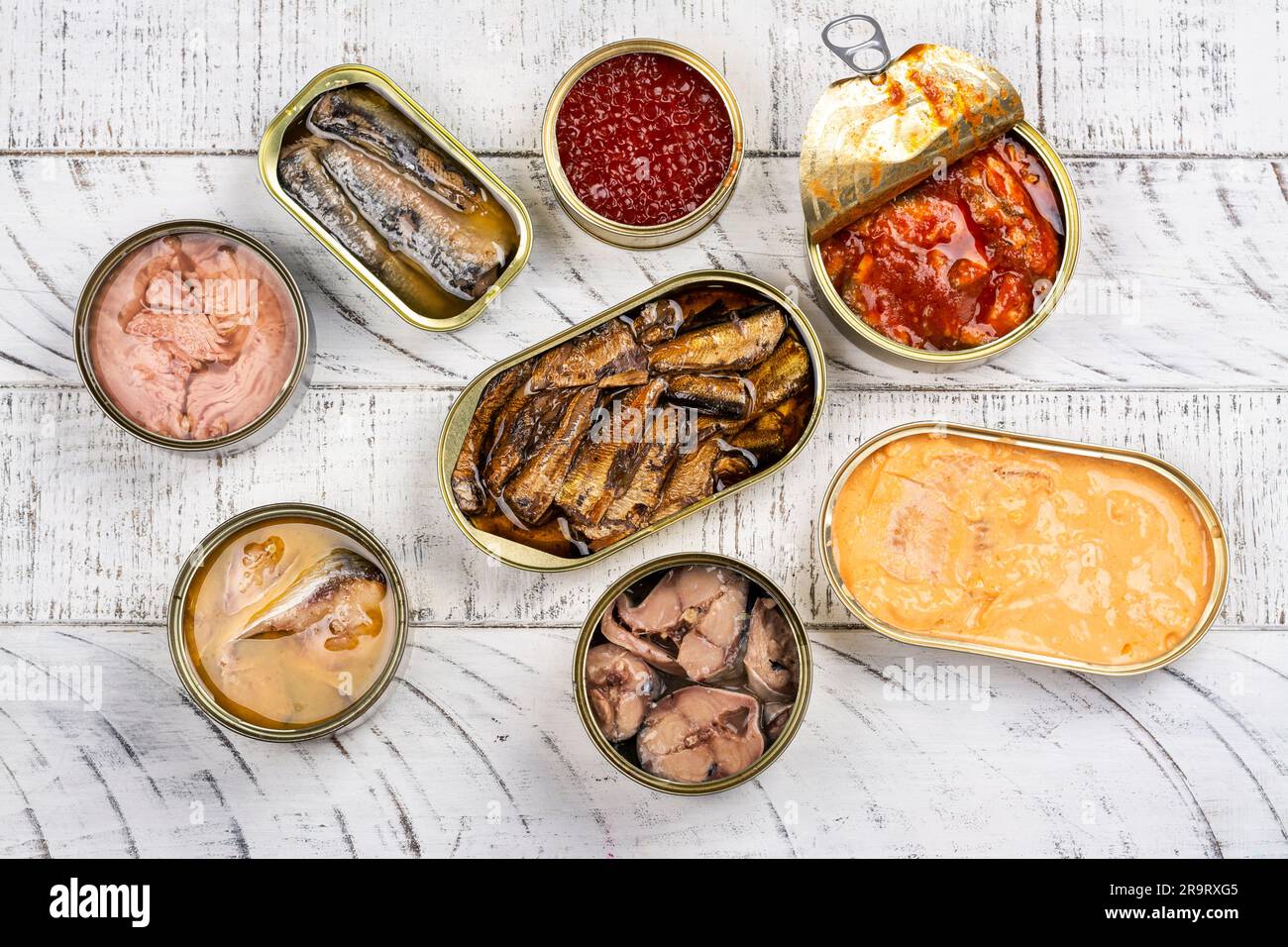 Variety of opened cans with different types of fish and seafood Stock ...