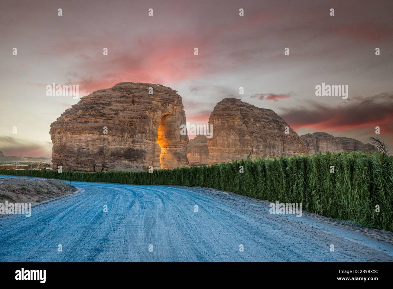 Sunset sandstone elephant rock erosion monolith standing in the desert ...