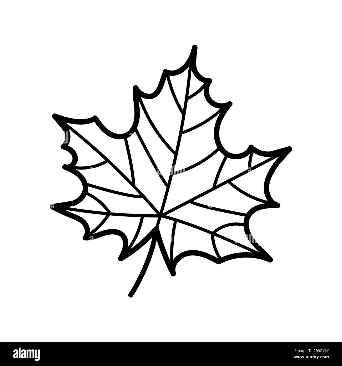 Maple Leaf. Hand drawn sketch botanical element. Isolated vector illustration in doodle line ...