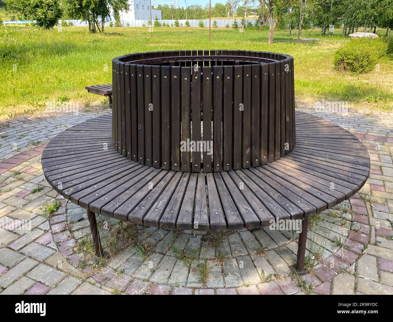 Empty round wooden bench in the park, selective focus. Design solution ...