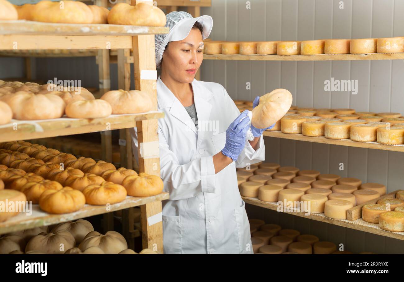 Woman cheesemaker checking aging process of cheese in maturing chamber ...