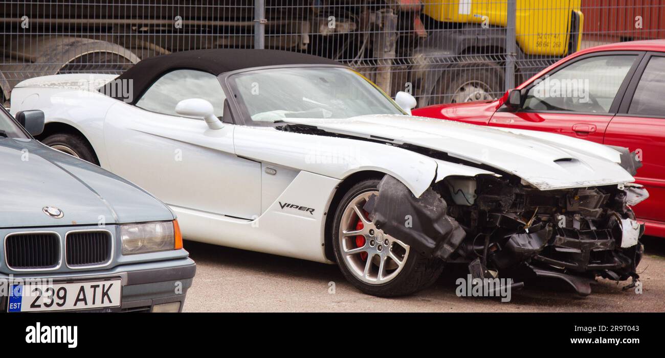 Smashed muzzle hi-res stock photography and images - Alamy