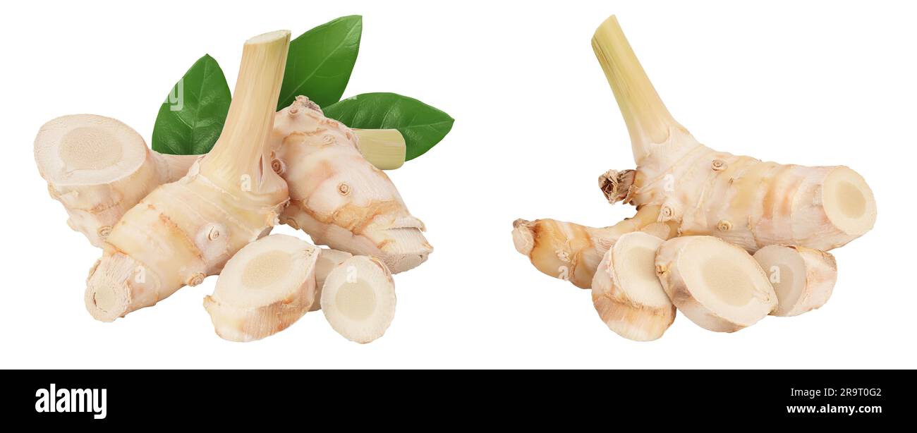 Fresh galangal root with slices isolated on white background with full ...