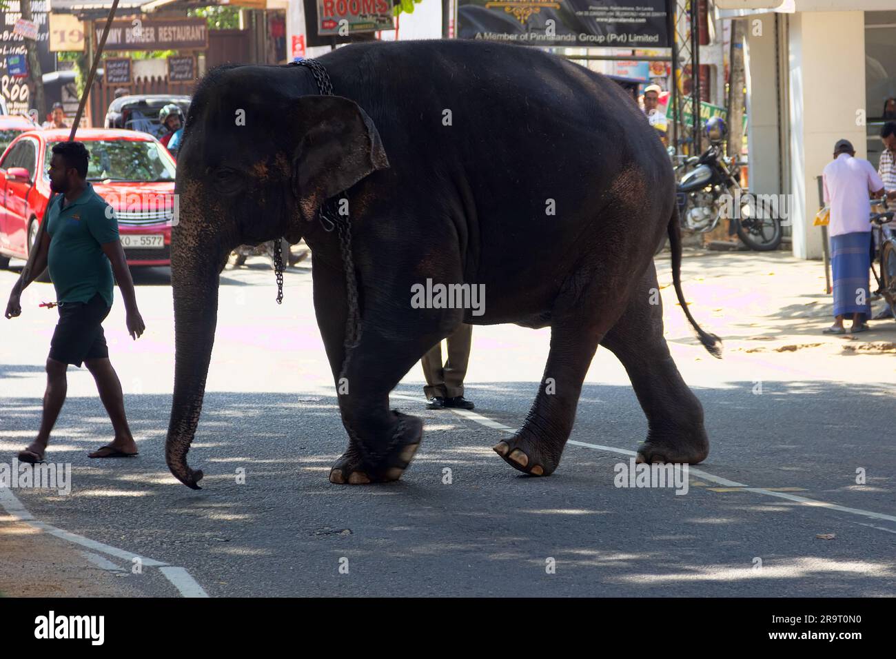 Kandy sri lanka national park hi-res stock photography and images - Alamy