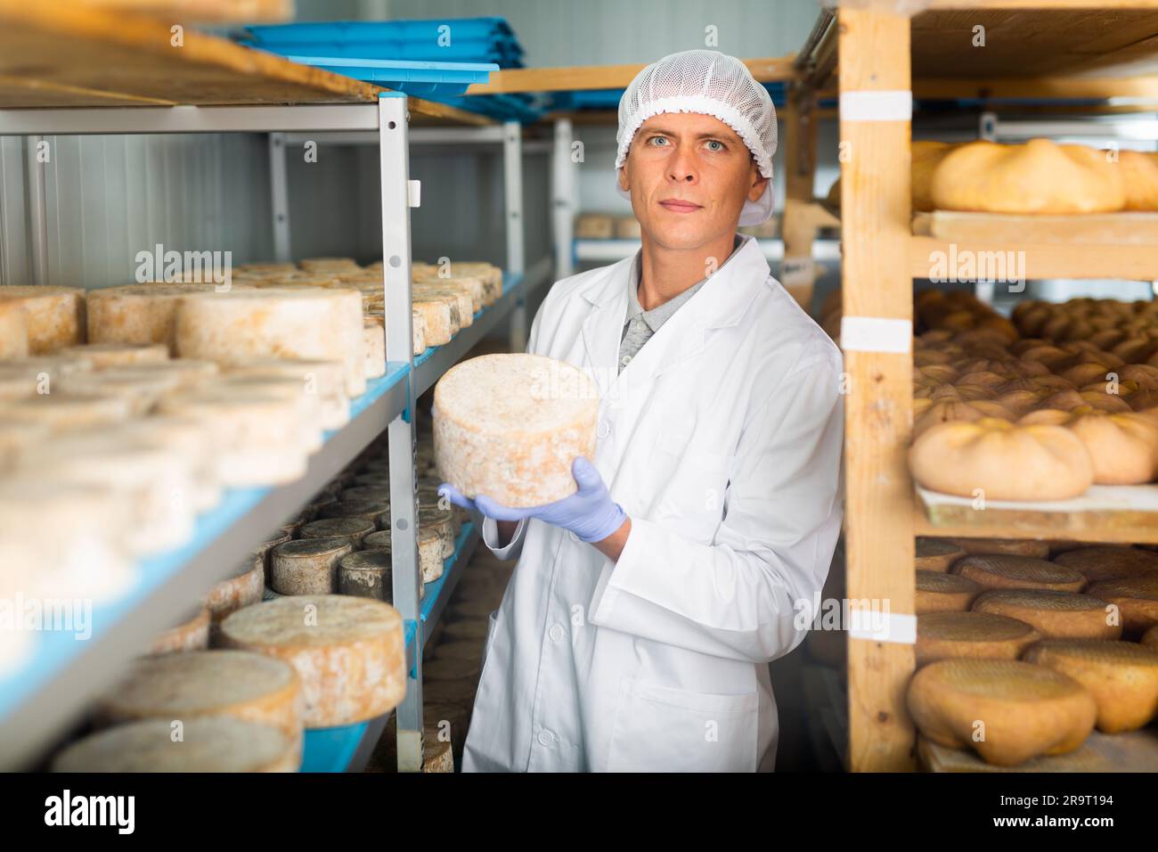 Cheesemaker checking aging process of cheese in maturing chamber Stock ...