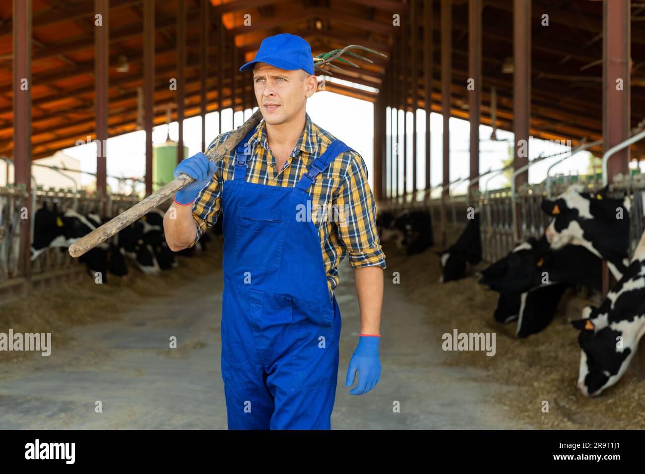 Farmer with pitchfork in hands in cowhouse Stock Photo - Alamy