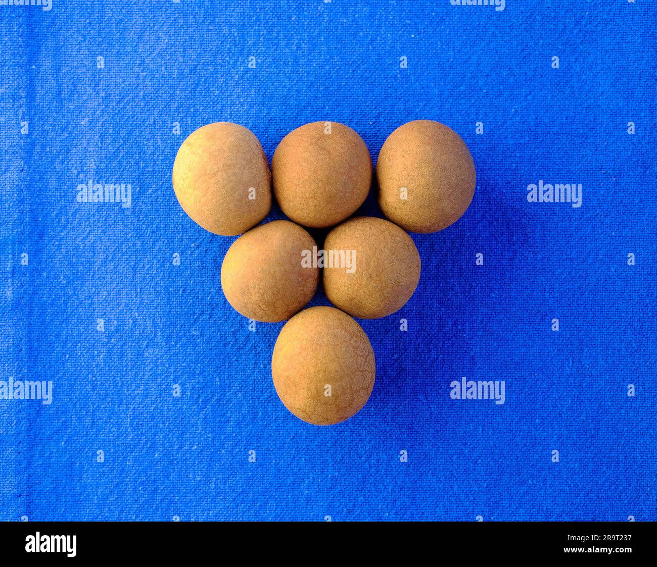 Longan plants hi-res stock photography and images - Alamy