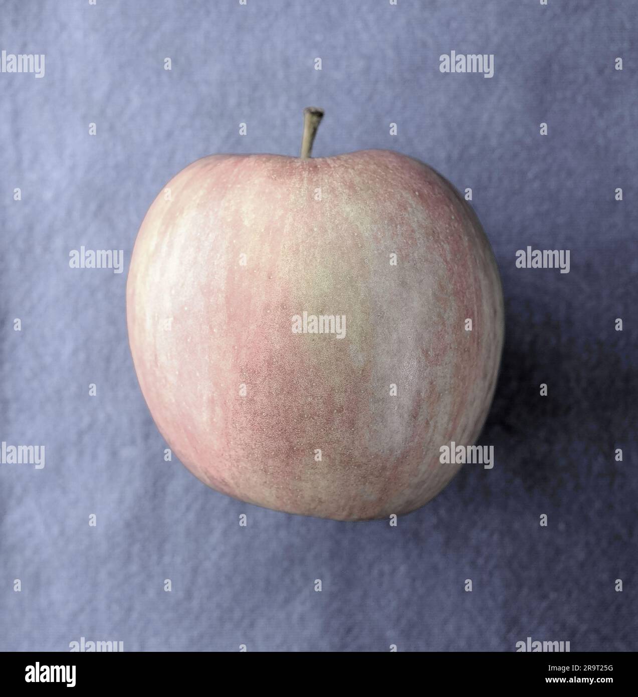 A perfect apple isolated on pale blue background, low saturation, split ...