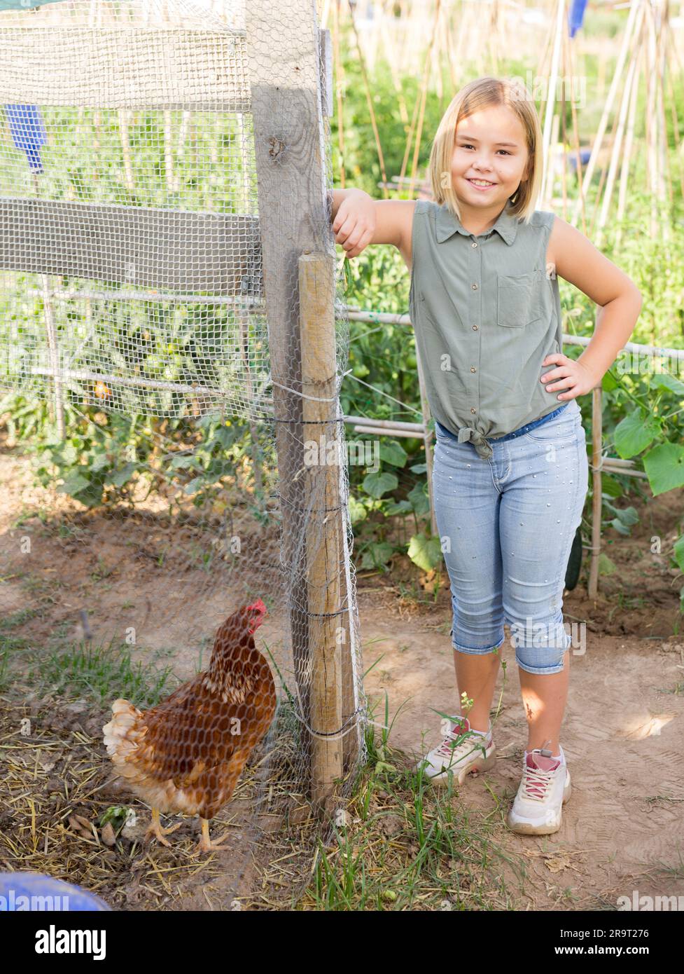 Little girl and chiken Stock Photo - Alamy