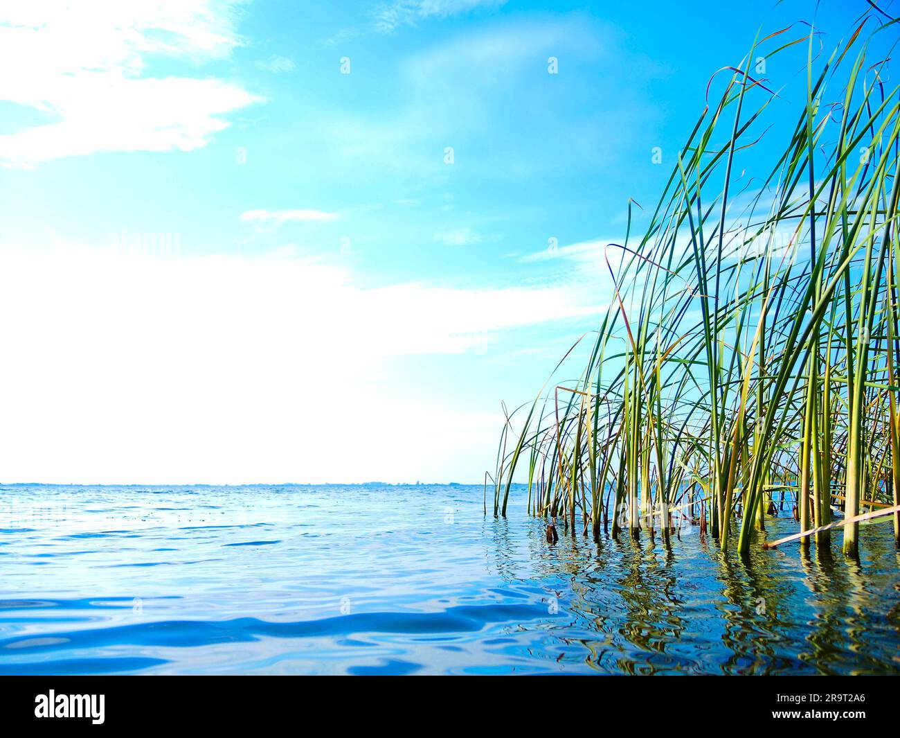 A summer day at a lake - calm blue water and remote horizon, pale off ...