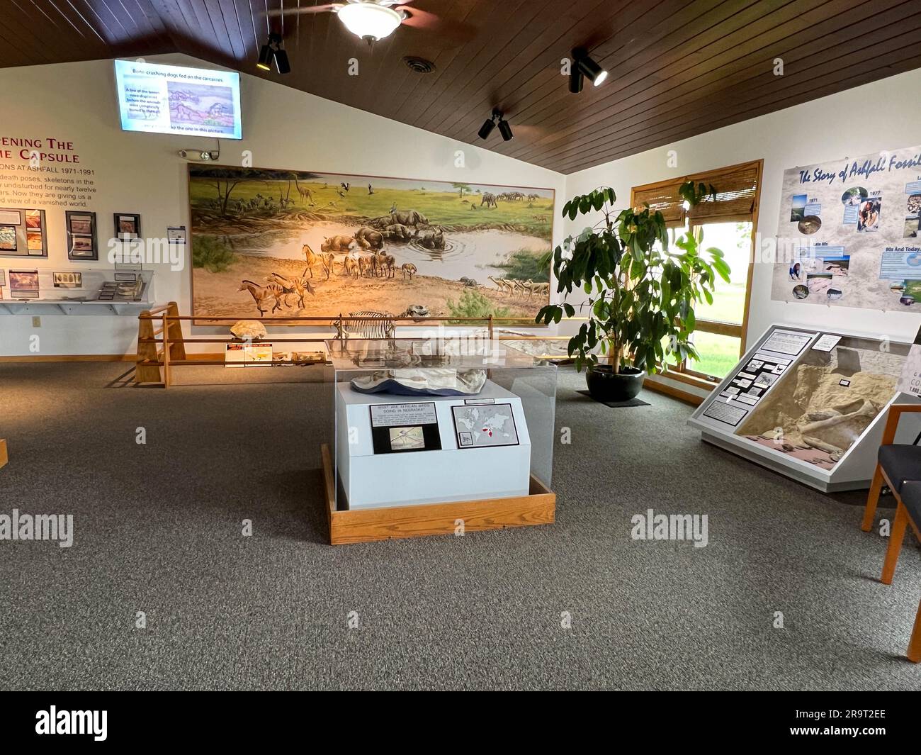 Royal, NE USA - May 13, 2023: Inside the Vistors Center at Ashfall ...