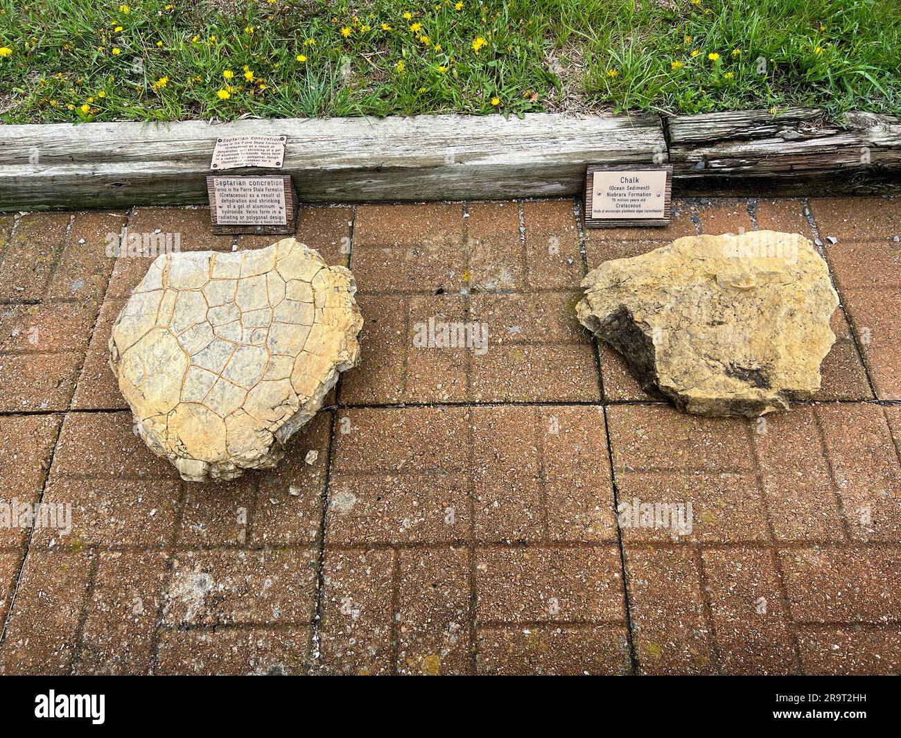 Royal, NE USA - May 13, 2023: The geology samples at Ashfall Fossil ...