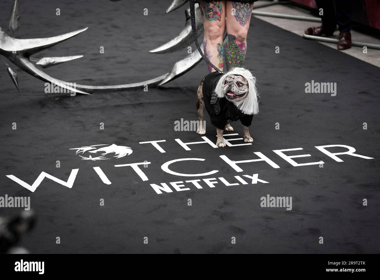 Rory The Dog poses for photographers upon arrival at the World premiere ...