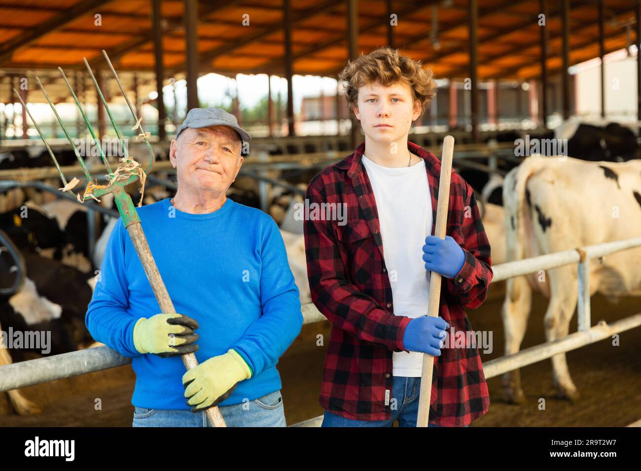 Teenage breeder hi-res stock photography and images - Alamy