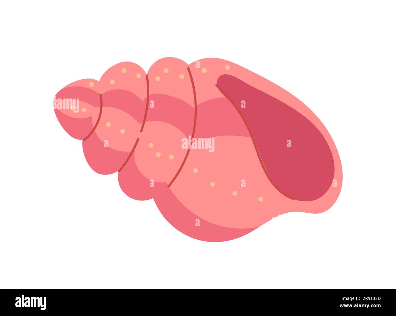 Summer pink shell vector concept. Underwater world, sea and ocean ...